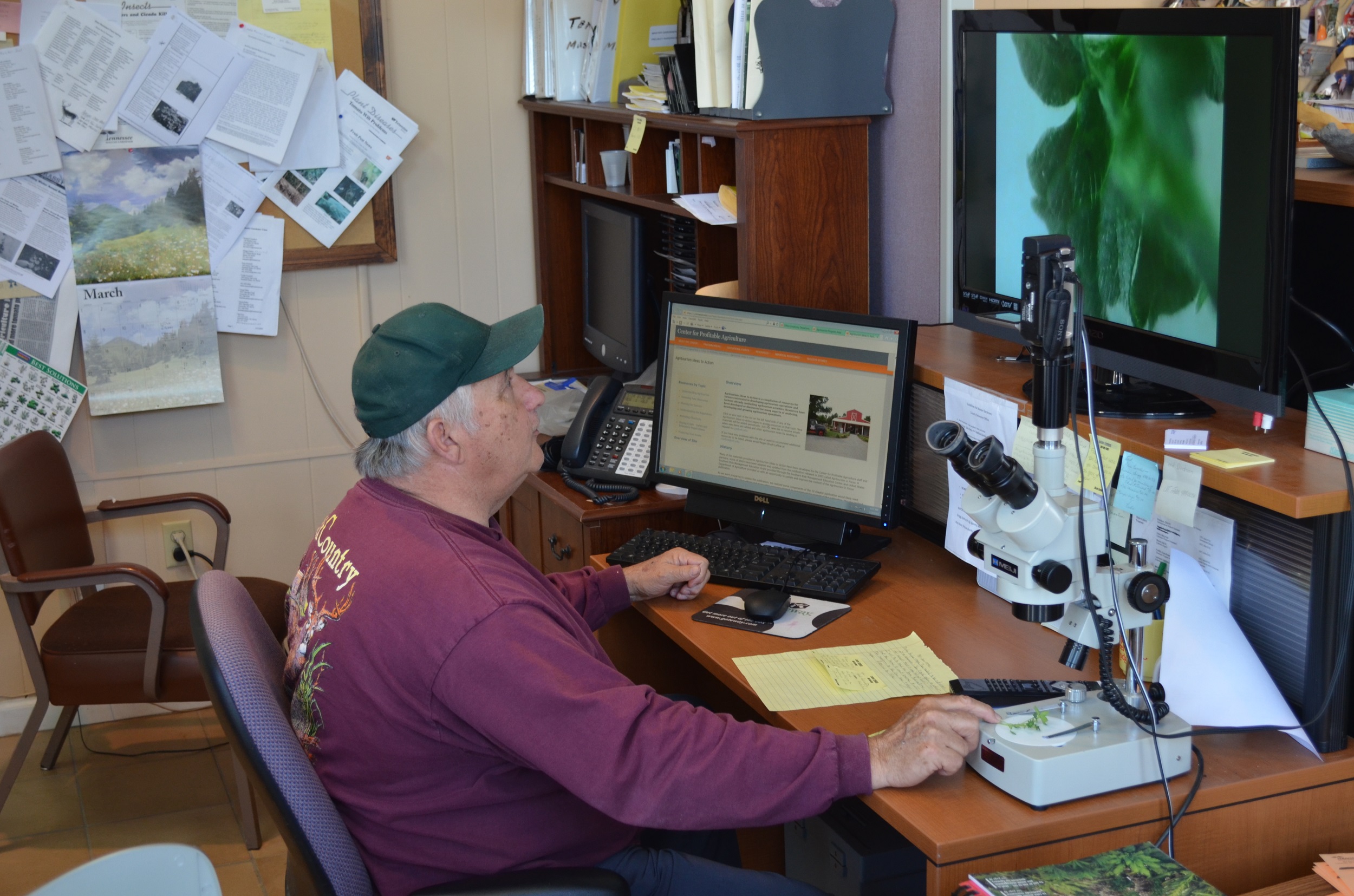 Extension Master Gardeners | Cumberland County