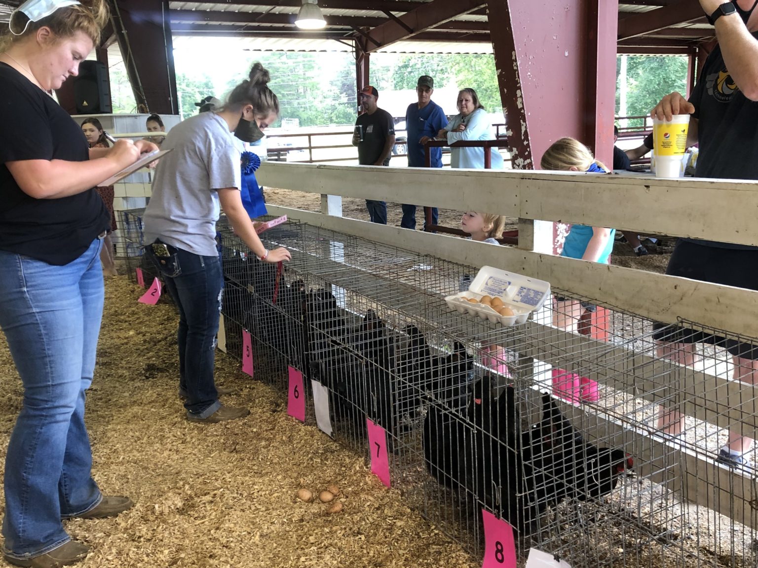 4-H Chick Chain | Cumberland County