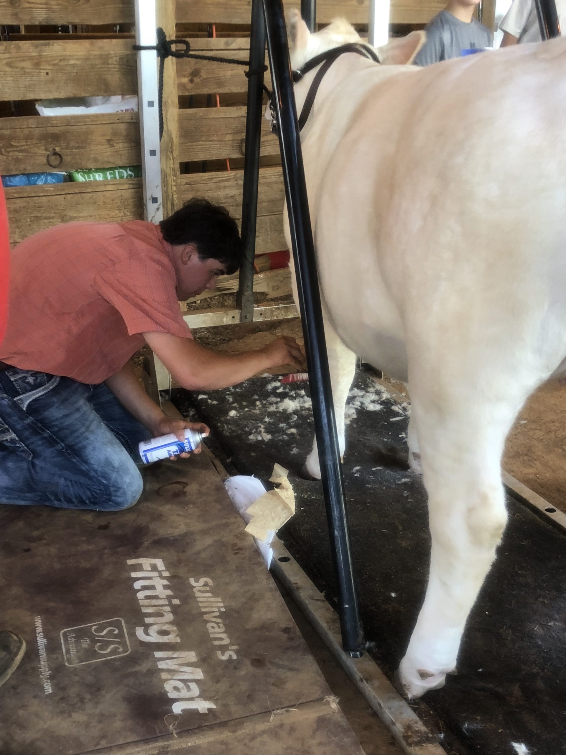 4-H Youth Development | Cumberland County