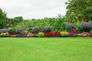 Extension Master Gardeners | Cumberland County